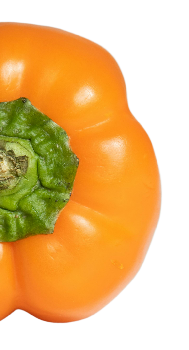 Formación/FAQ - Biota Nutri